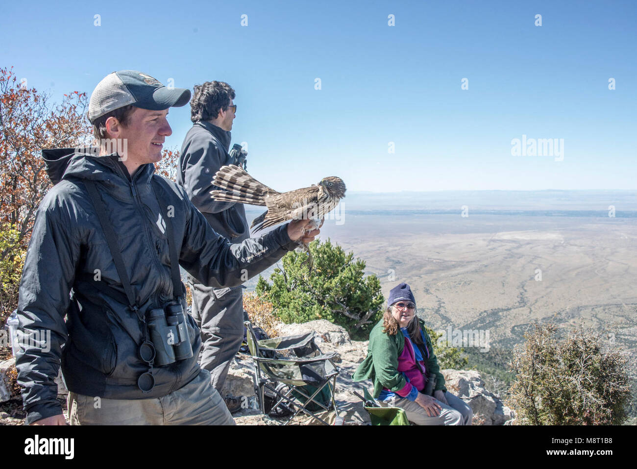 Cibola Mountain air Gavilan Trail Hawk Watch Stock Photo - Alamy