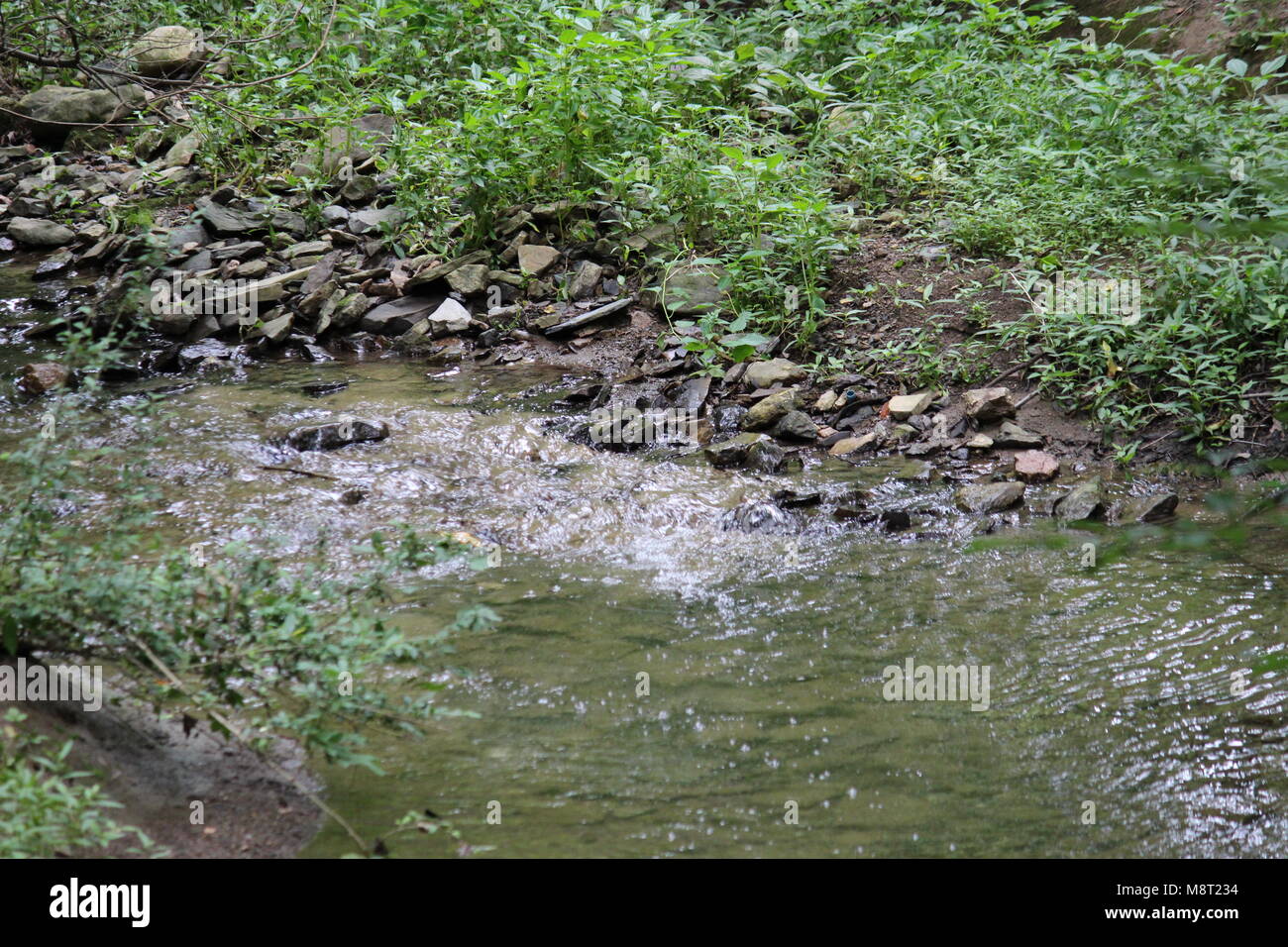 Stream running over rocks hi-res stock photography and images - Alamy