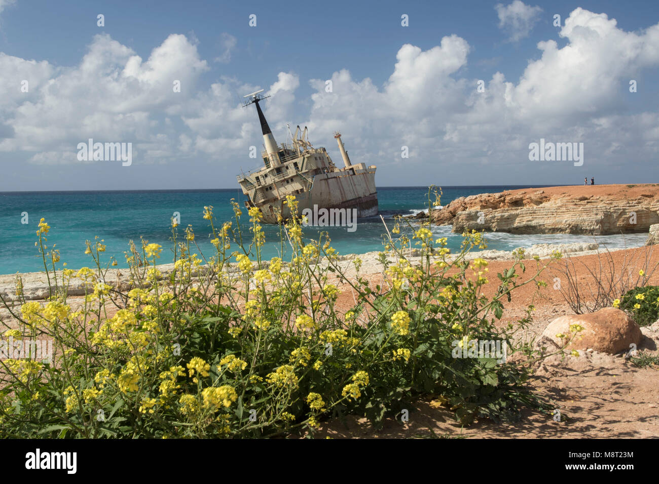 The Edro 3 shipwreck on the coast of Pegeia, Paphos district, Cyprus ...