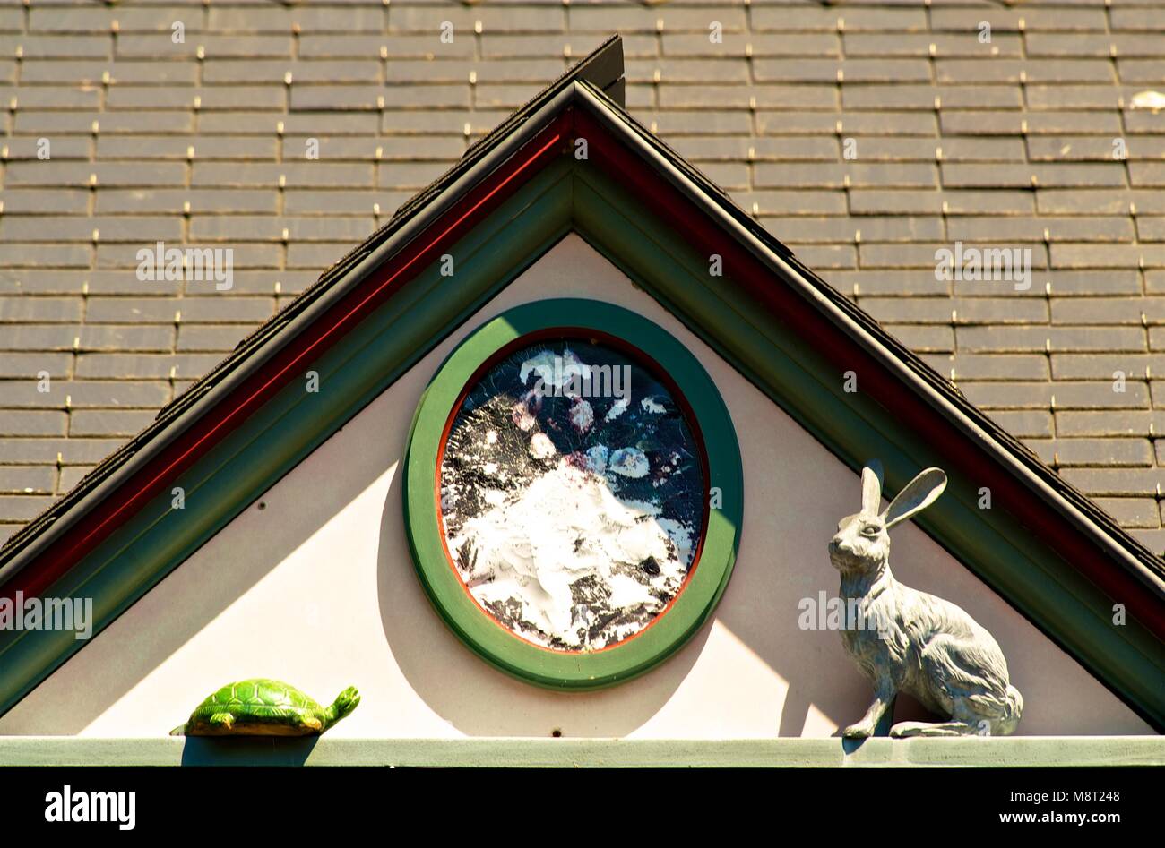 Tortoise and hare hi-res stock photography and images - Alamy