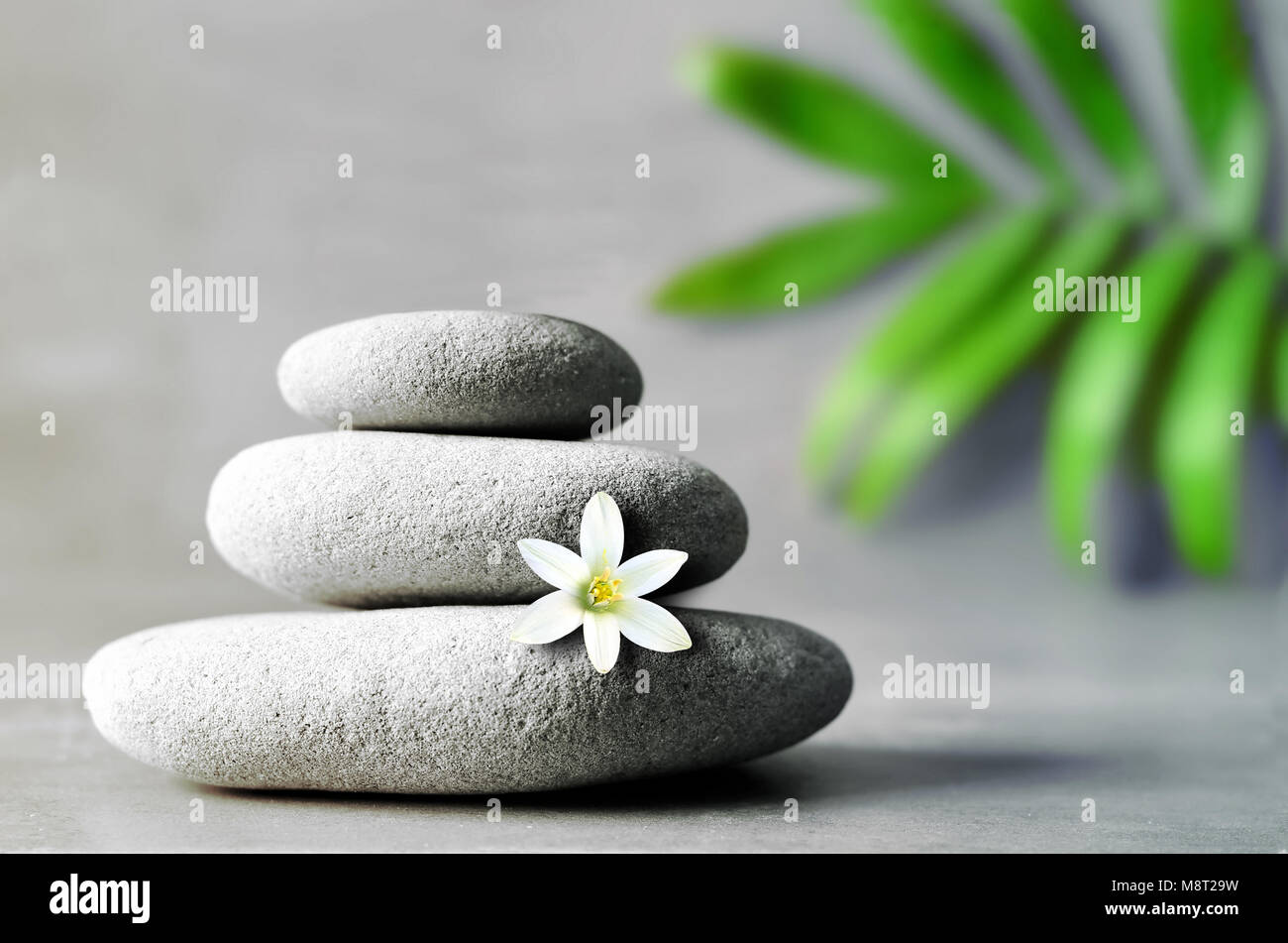 Stones pyramid with a white flower on grey background and leaf of palm ...
