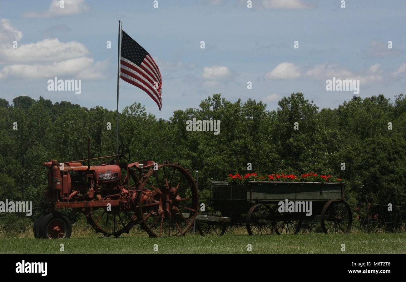 Patriotic family usa hi-res stock photography and images - Alamy
