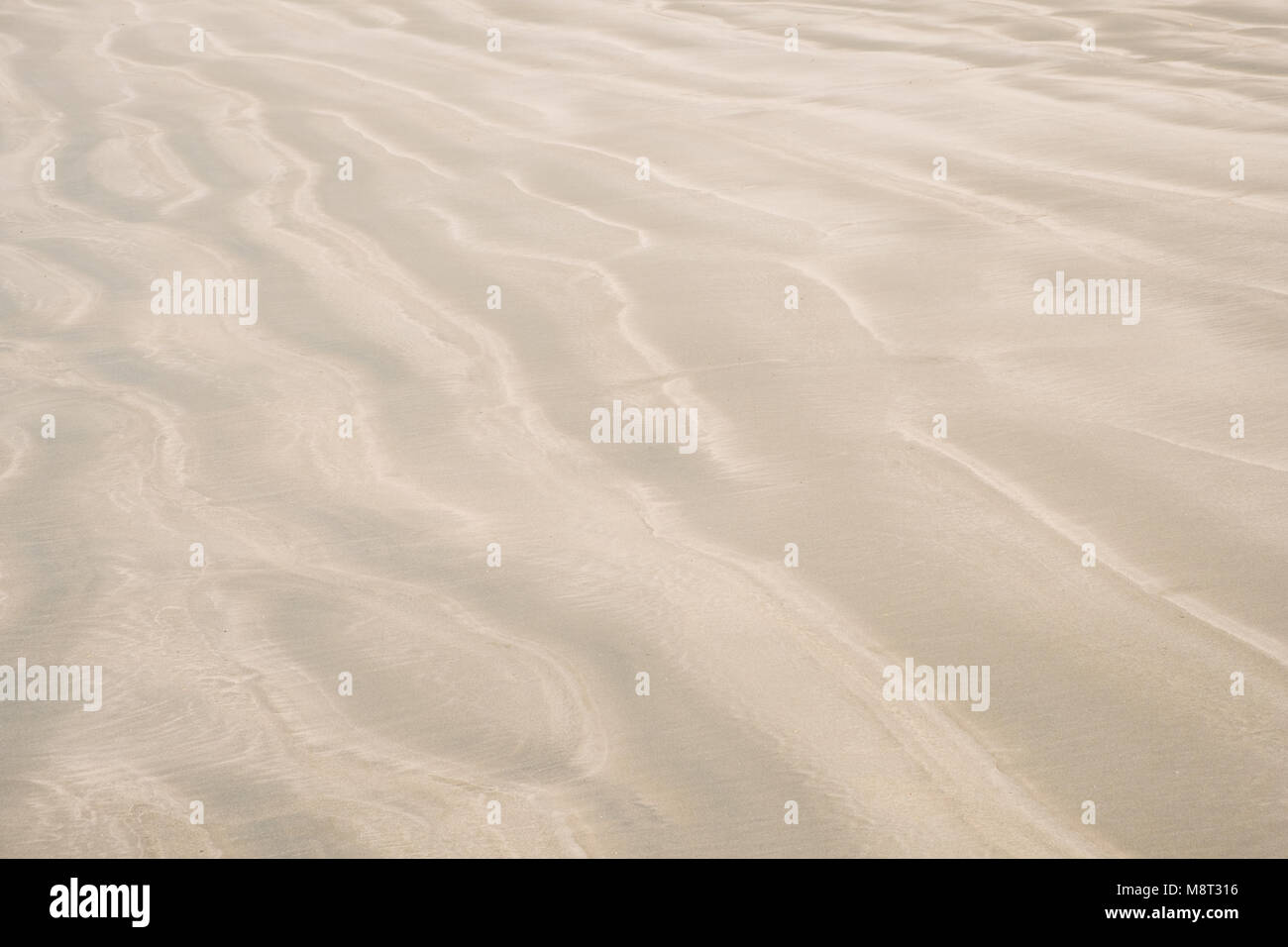 beach closeup, sand pattern - sand ripples texture Stock Photo - Alamy