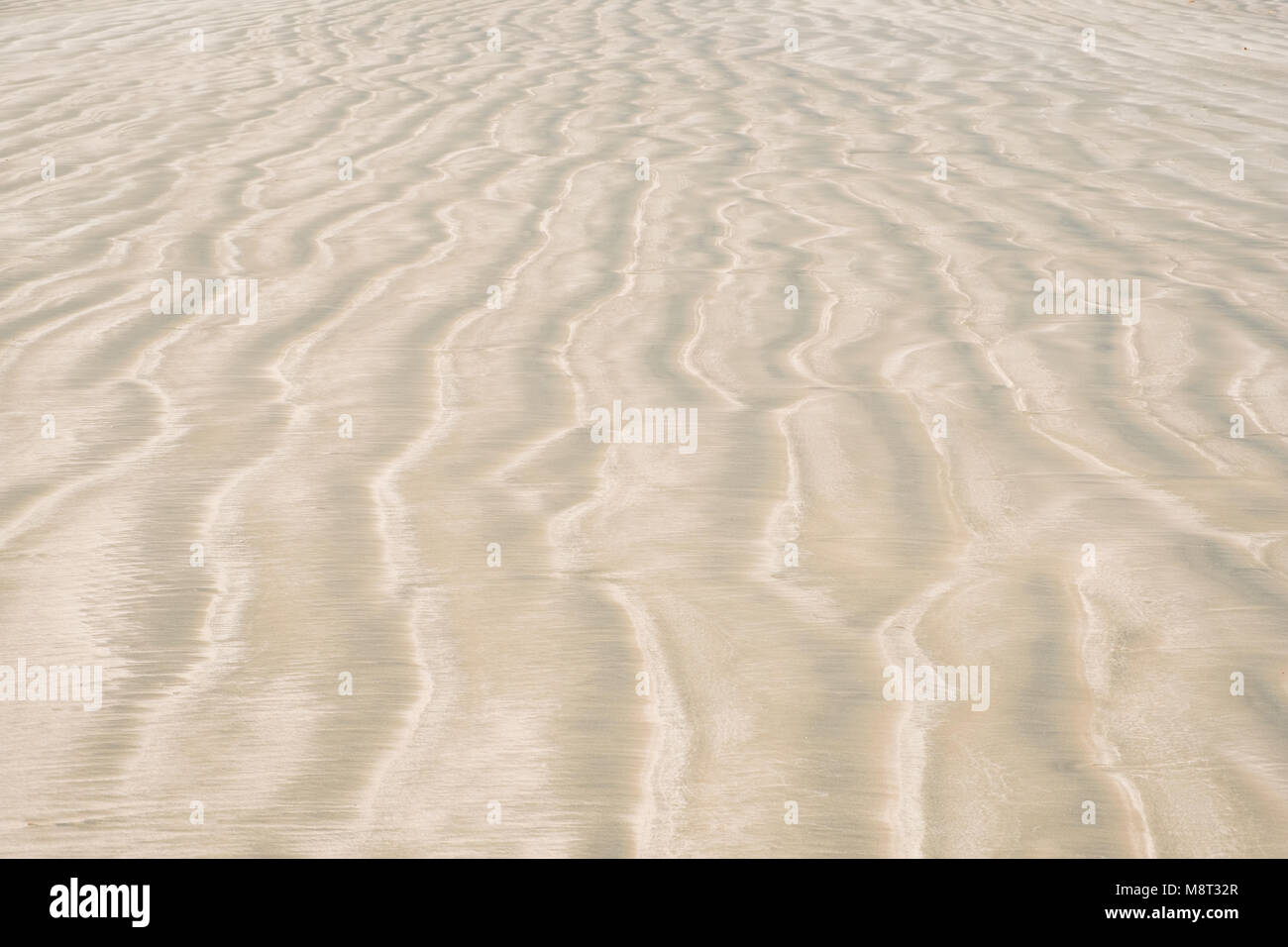 beach background, san pattern - sand texture on white sand beach Stock ...