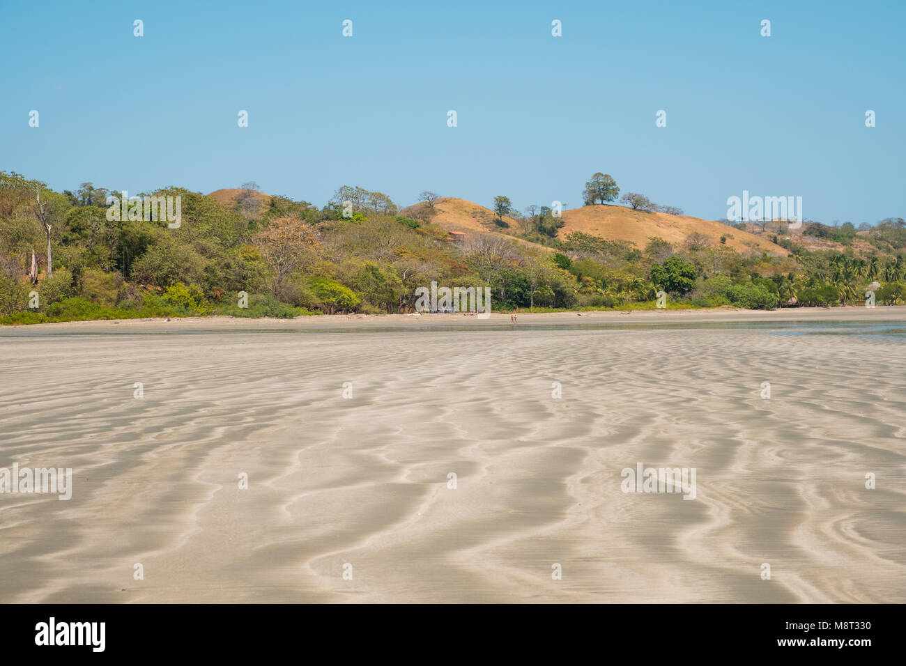beach landscape , coastline with tropical plant background - Panama ...