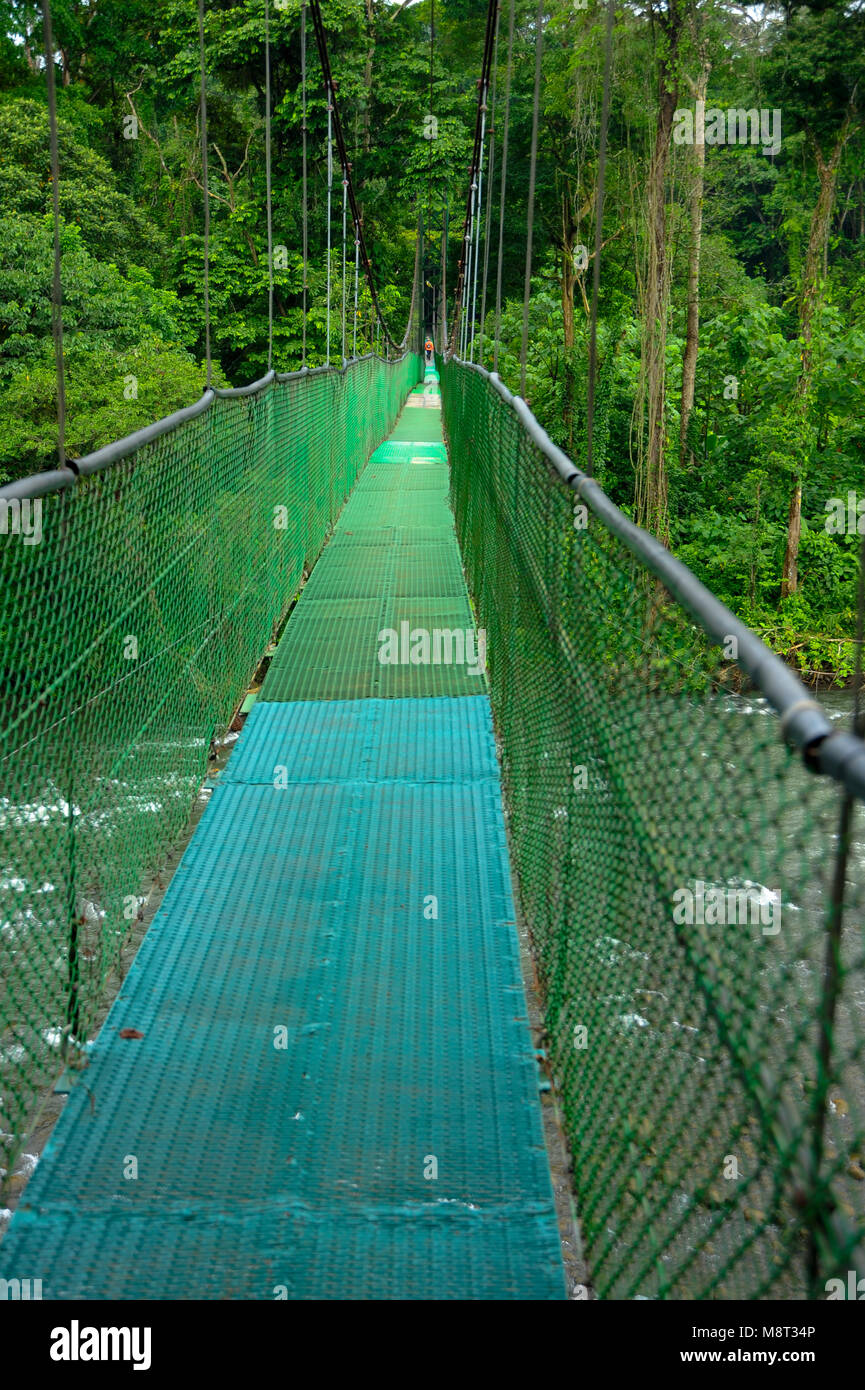 A suspension foot bridge over the Sarapiquí river allows further ...