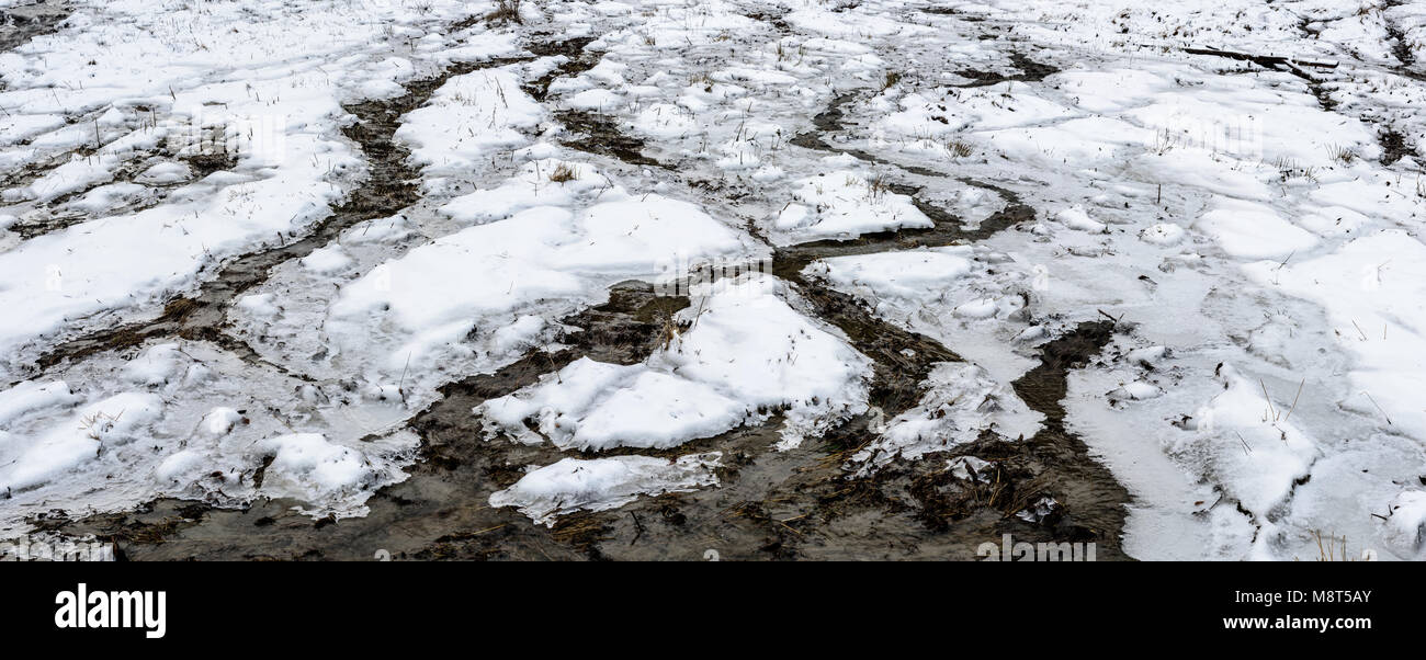 Spring creek flowing at the field with melting snow. Spring melting of ...