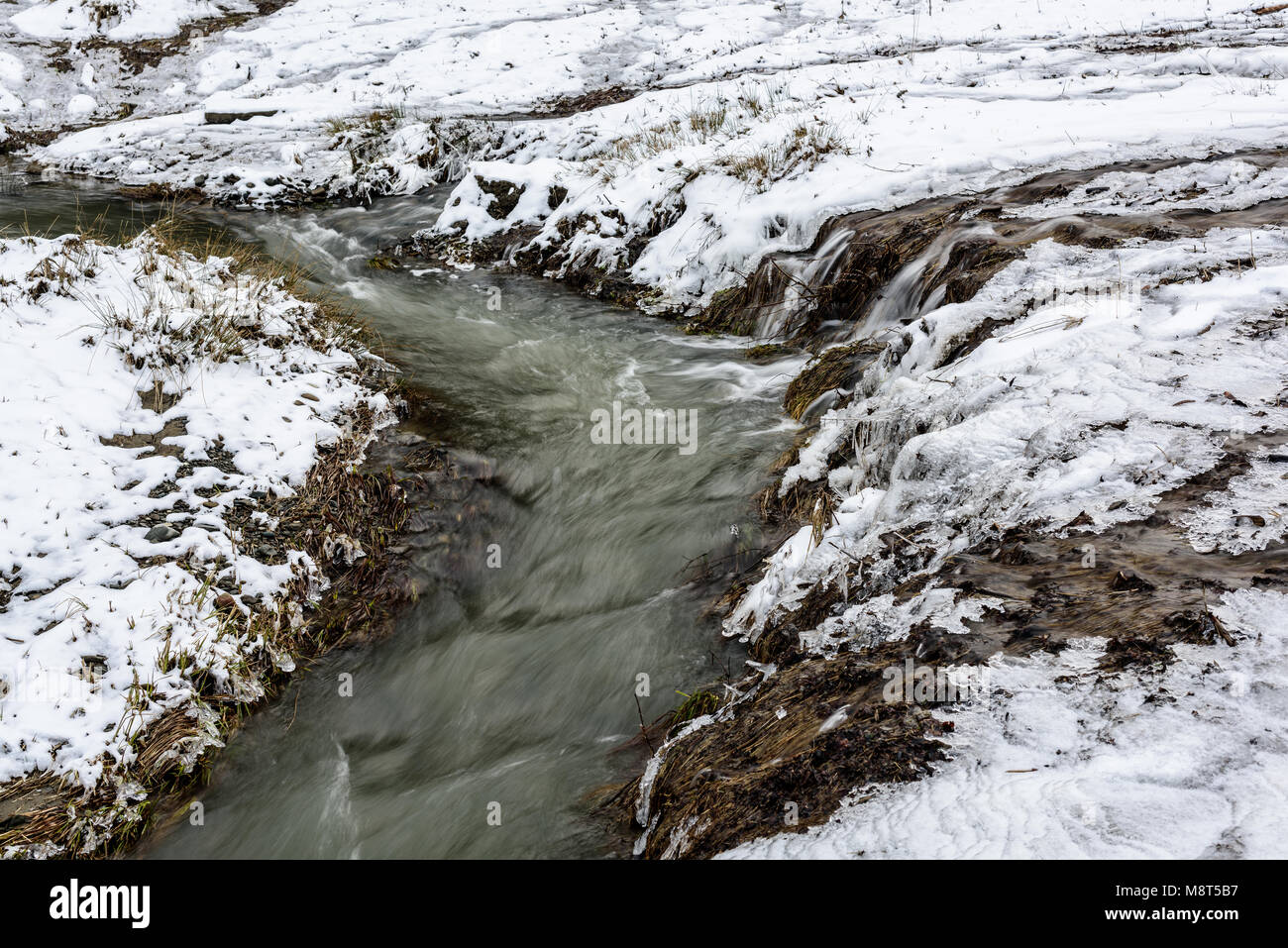 Spring creek flowing at the field with melting snow. Spring melting of ...
