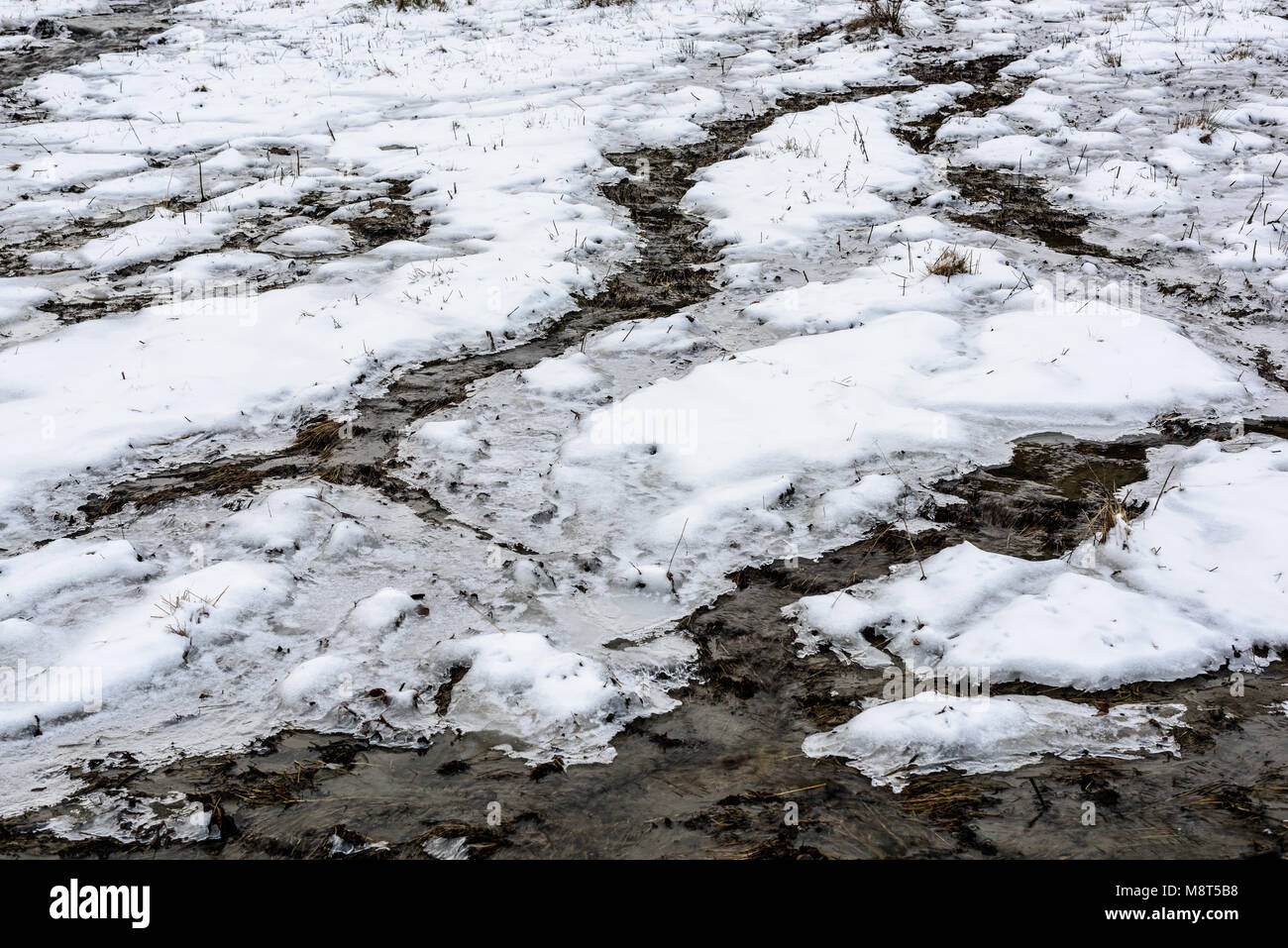 Spring thaw melting snow ice hi-res stock photography and images - Alamy