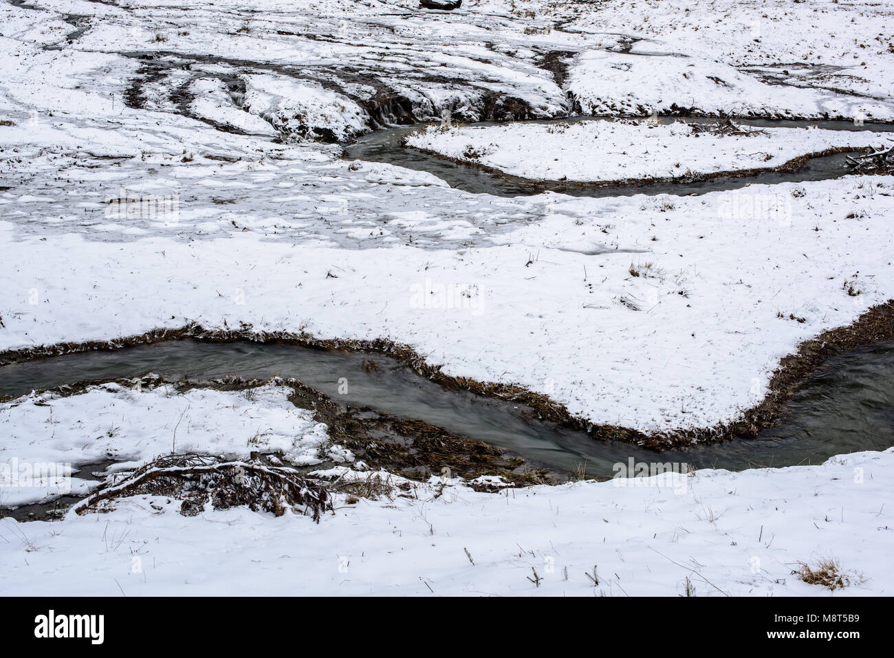 Spring creek flowing at the field with melting snow. Spring melting of ...