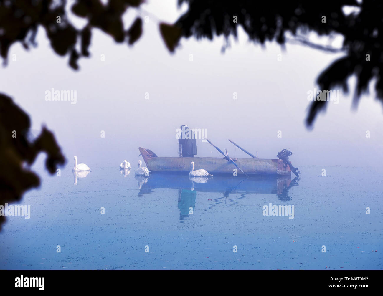 Mist fisherman nature hi-res stock photography and images - Alamy