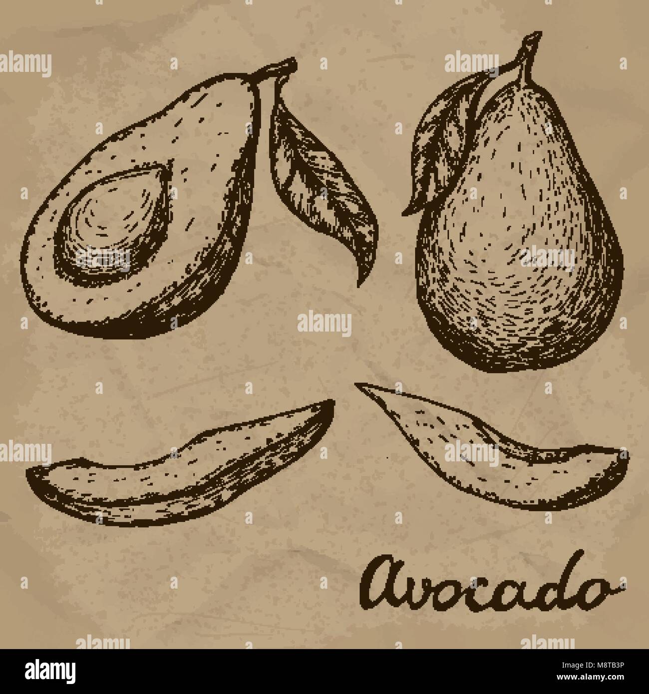 Hand drawn avocado set. Whole avocado, sliced pieces and half sketch ...