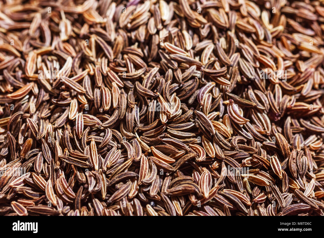 Large brown seeds hi-res stock photography and images - Alamy