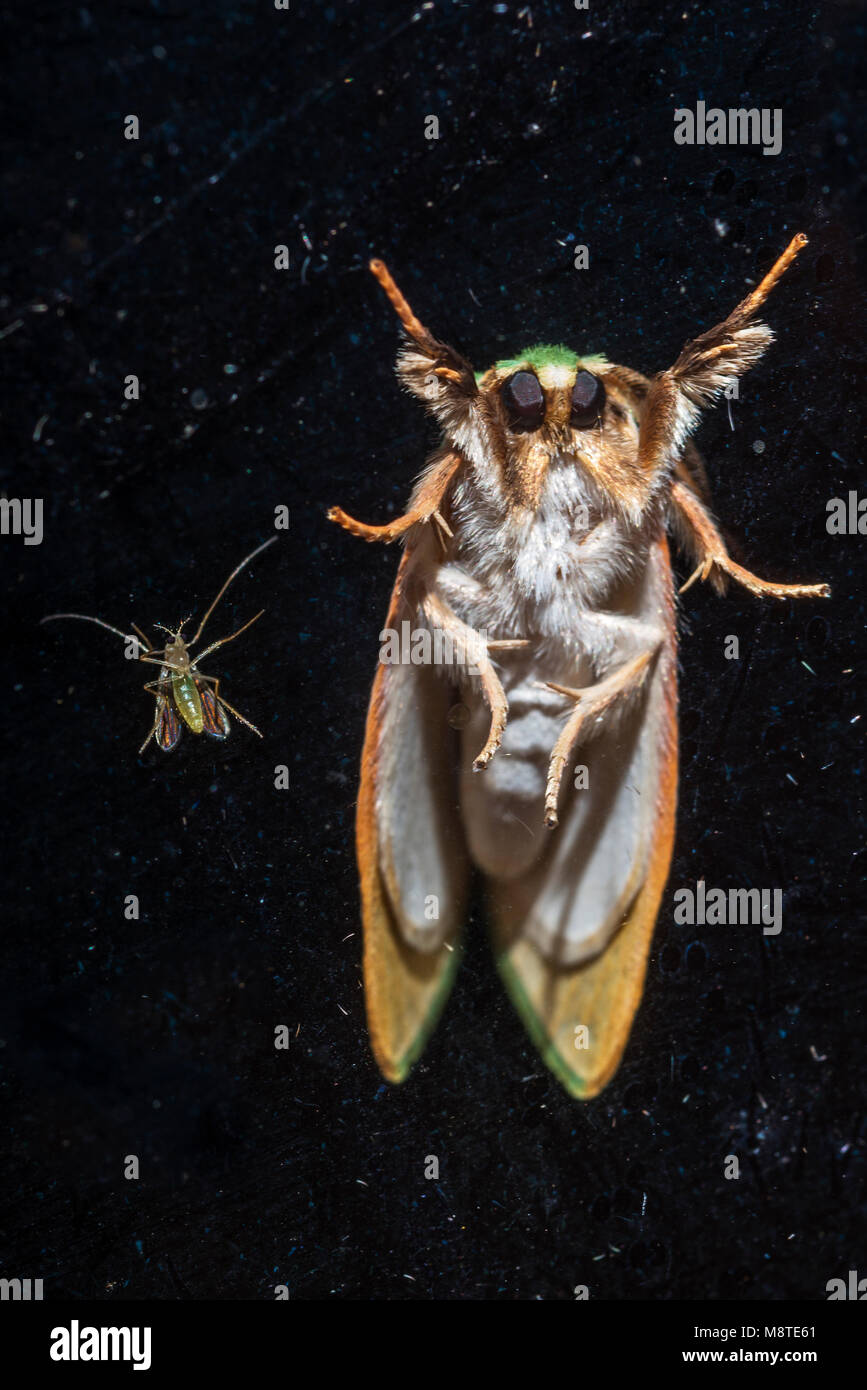 Black and white color and night view hi-res stock photography and ...