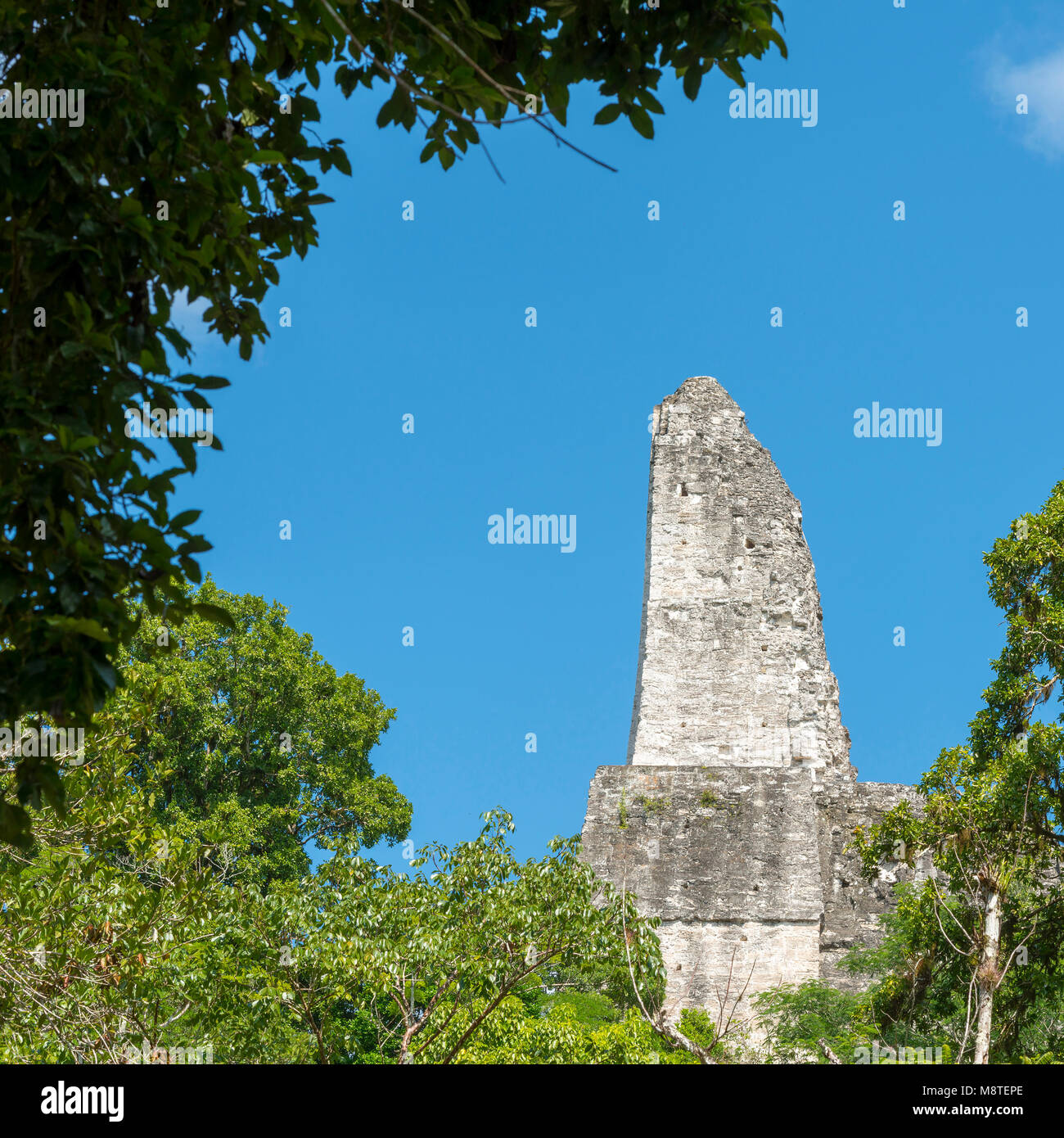 Side view of Temple 4 roof comb in Tikal, Guatemala Stock Photo - Alamy