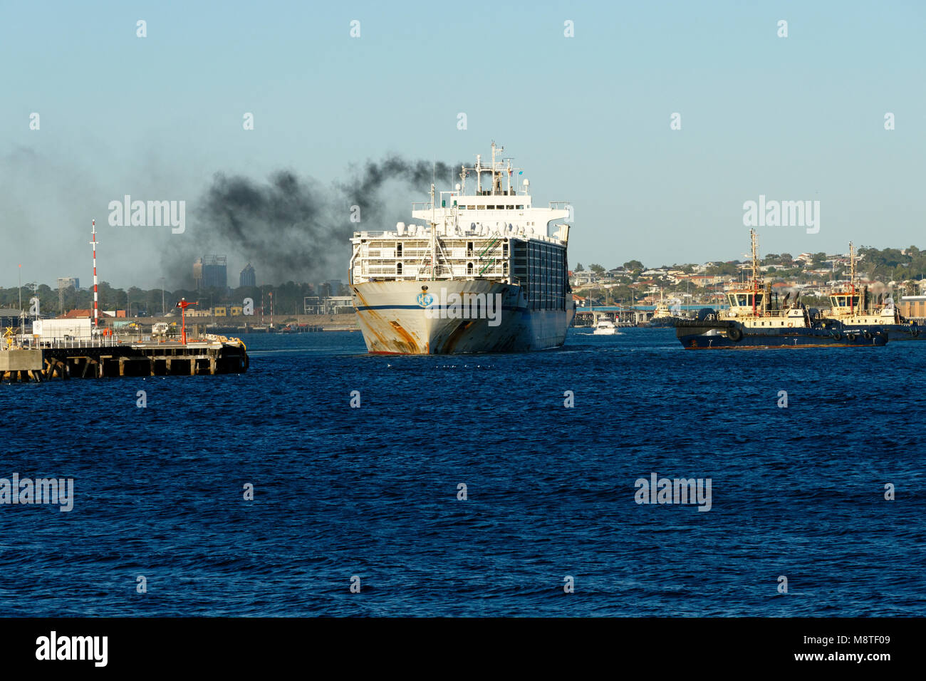 Sheep ship australia hi-res stock photography and images - Alamy