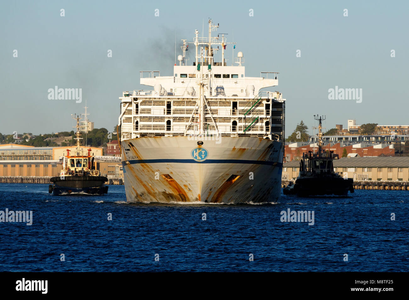 Sheep ship australia hi-res stock photography and images - Alamy