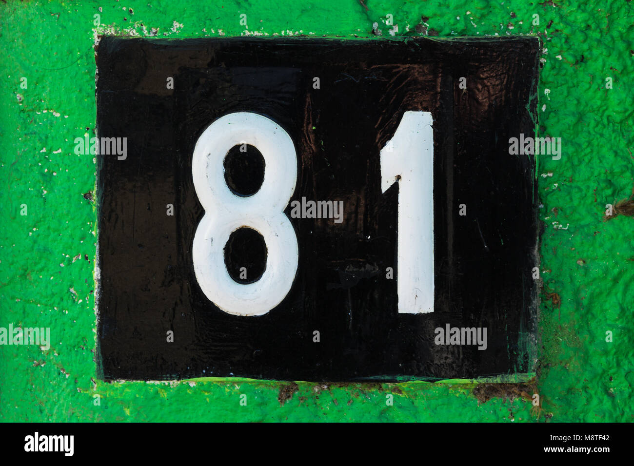 House number 81 in white lettering on black surround with green wall ...