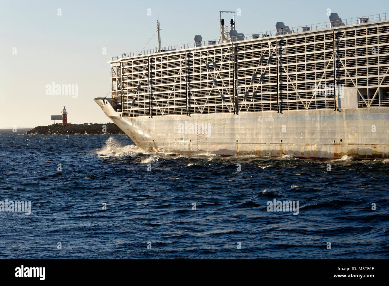 Sheep ship hi-res stock photography and images - Alamy