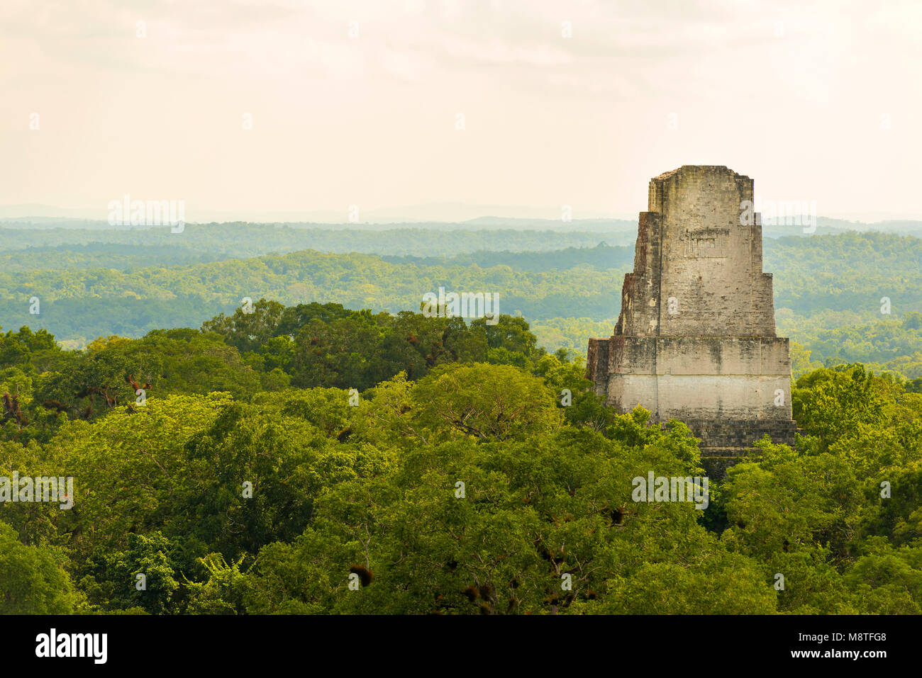 Tikal ruins hi-res stock photography and images - Alamy