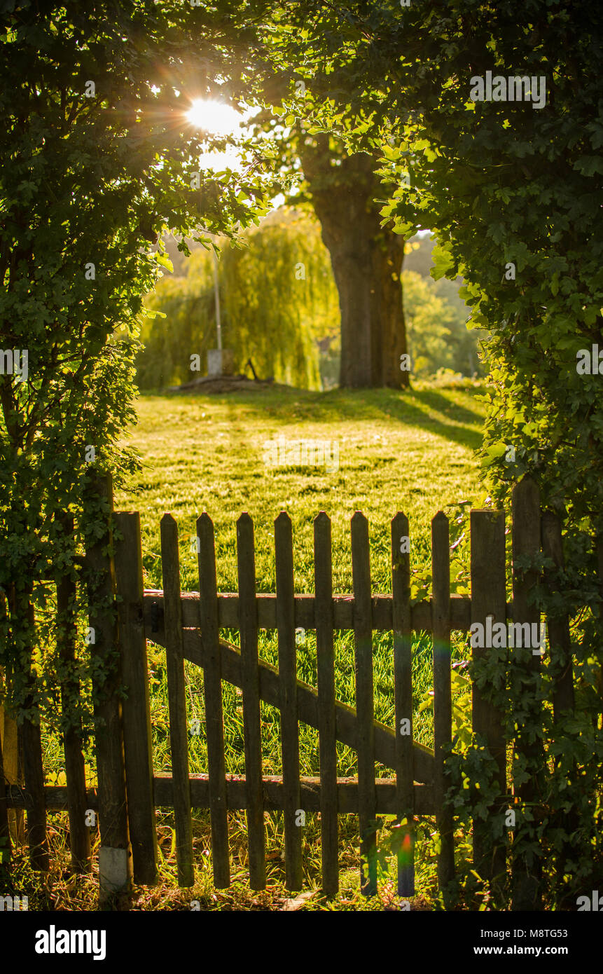 Enter a magical world hi-res stock photography and images - Alamy
