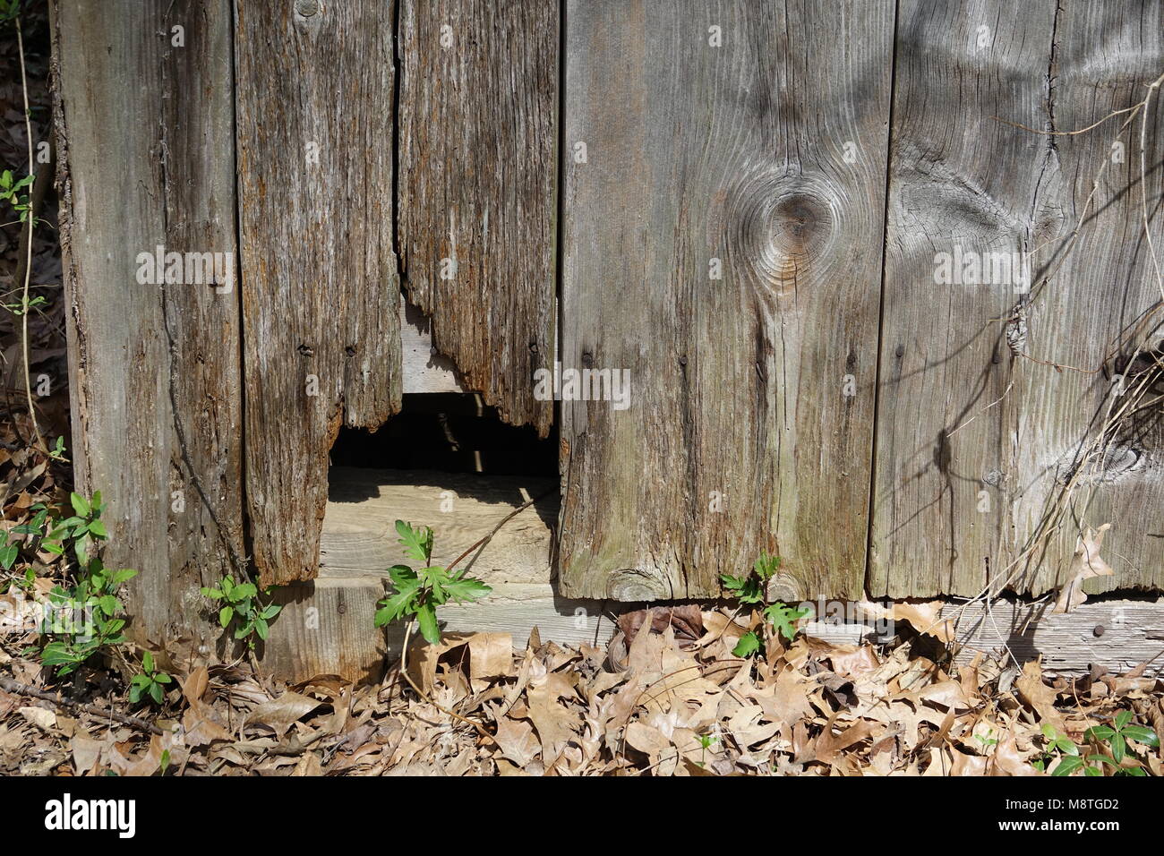 Hasps hi-res stock photography and images - Alamy