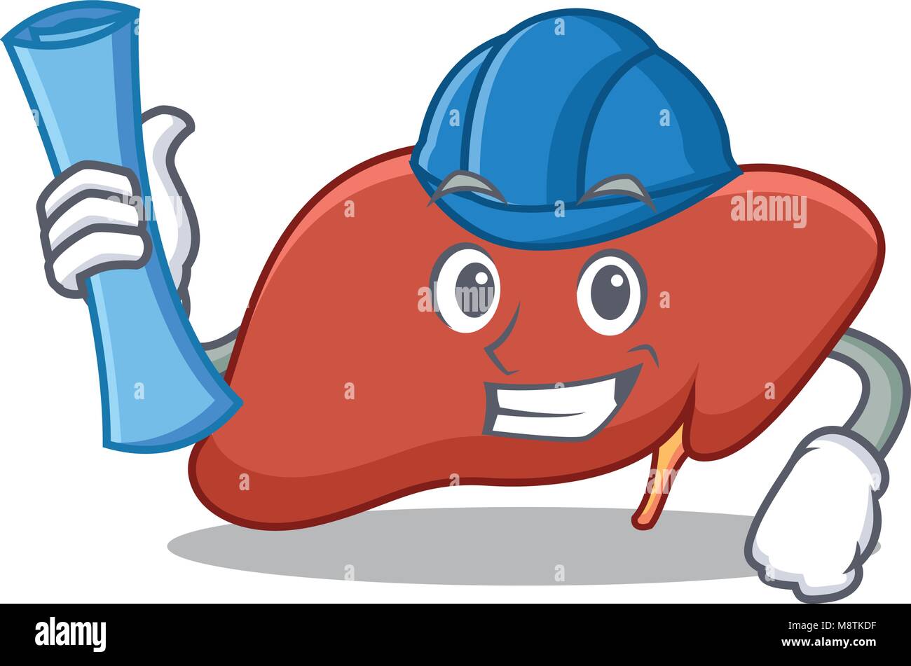 Architect liver character cartoon style Stock Vector Image & Art - Alamy