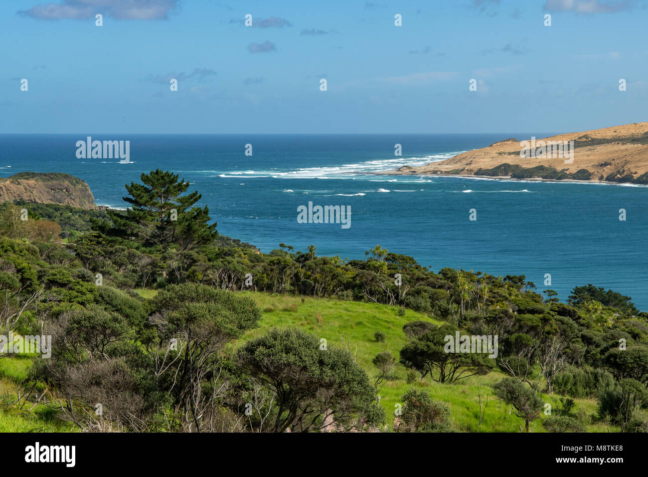 Entrance to Hokianga Harbour, North Island, New Zealand Stock Photo - Alamy