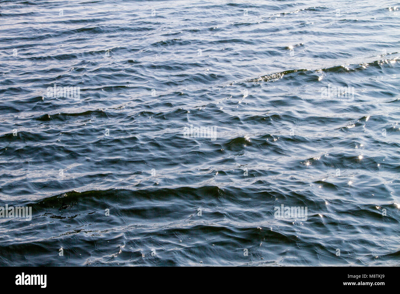 image of the water surface of the river with waves and sunlight ...