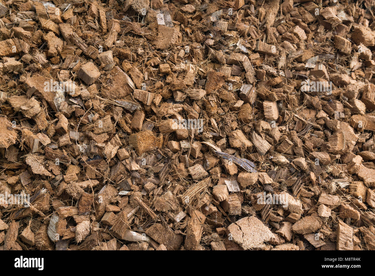 Dry brown coconut shell background and texture Stock Photo - Alamy