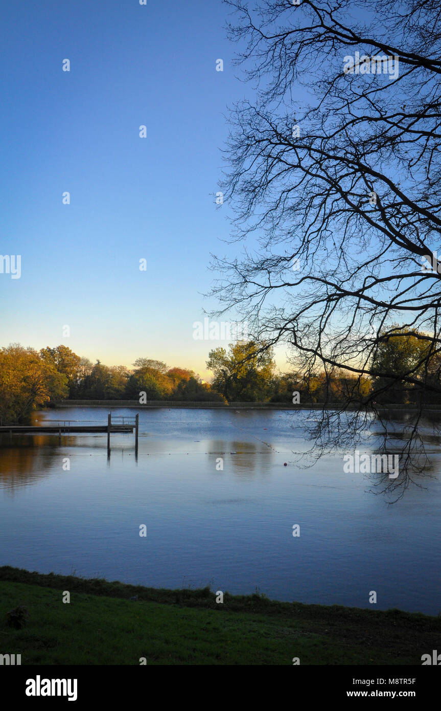 Wintry Landscape at the Edge of a Lake in a Park of London Stock Photo ...