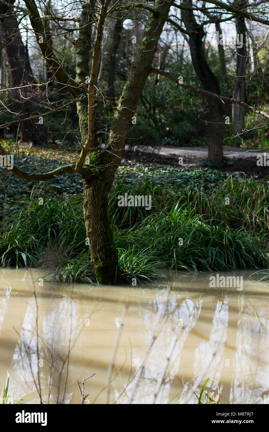 Muddy path garden hi-res stock photography and images - Alamy