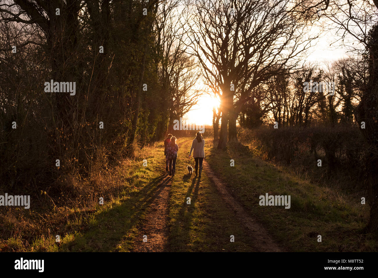 A family walking a path in the English countryside, on a late afternoon ...