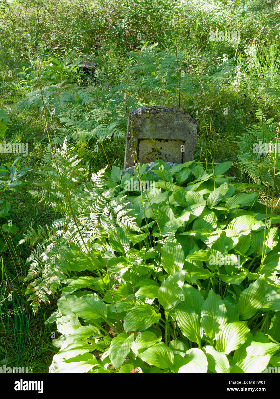 Old cemetery of indigenous inhabitants of Masuria country expulsed ...
