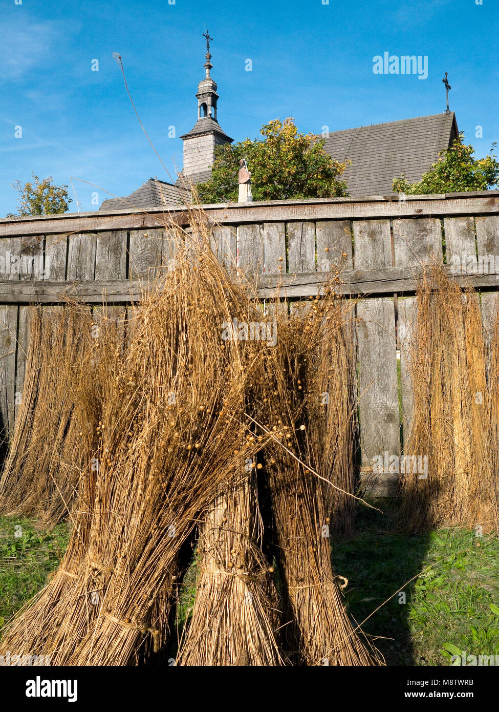 Sheaves of flax. Wielkopolski Etnographic Park Dziekanowice. Open - air ...