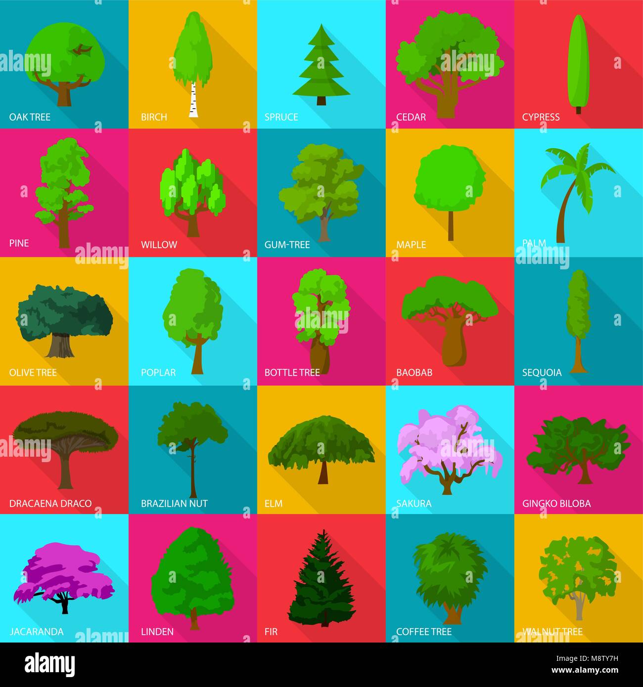 Baobab tree shadow Stock Vector Images - Alamy