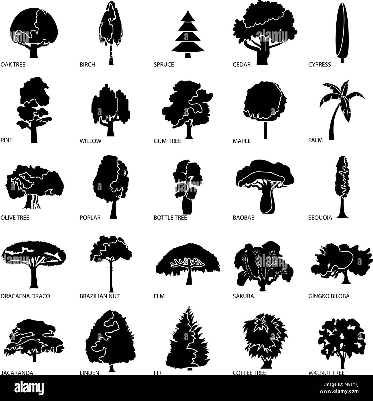Tree types icons set, simple style Stock Vector Image & Art - Alamy