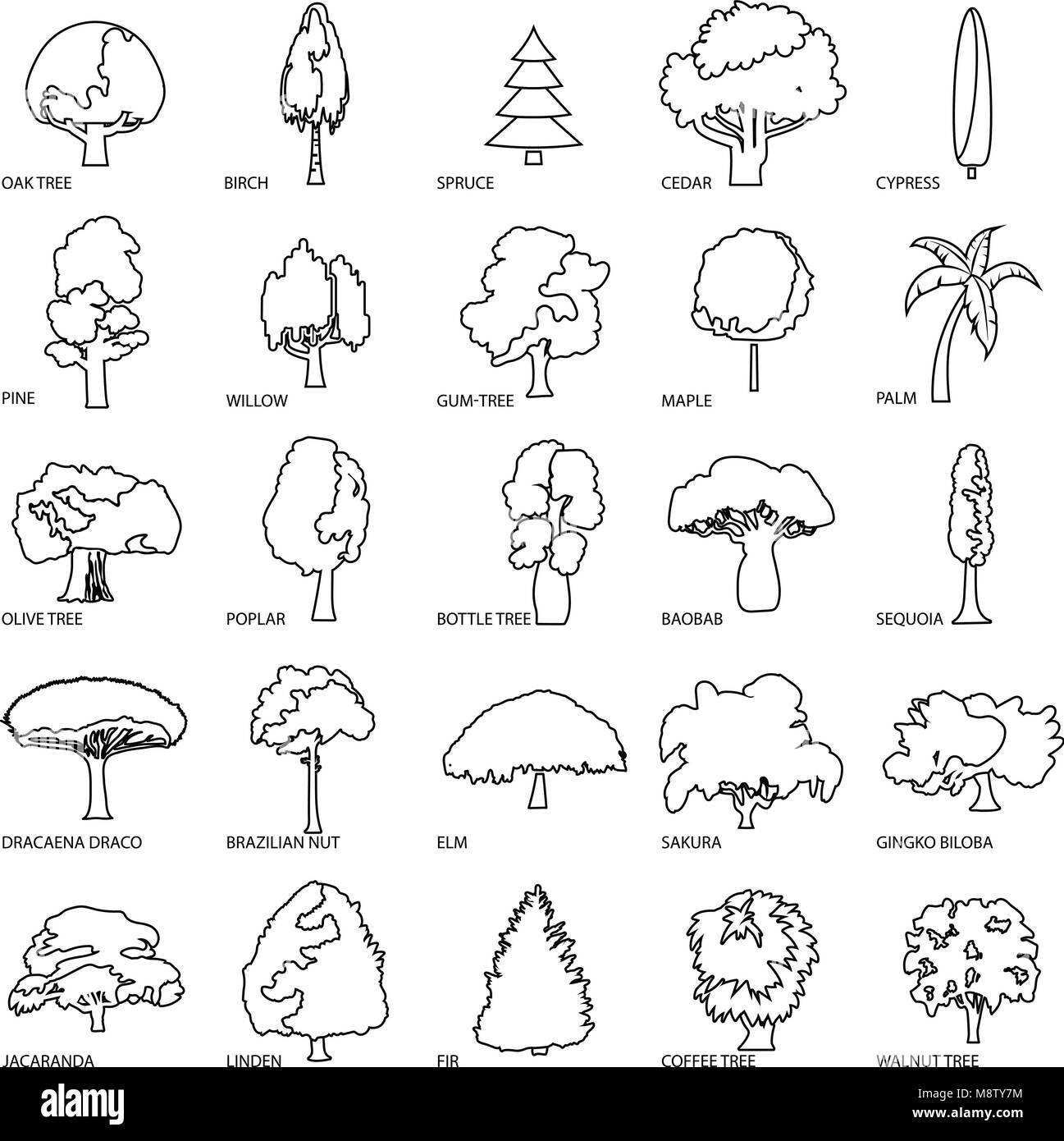 Tree types icons set, outline style Stock Vector Image & Art - Alamy