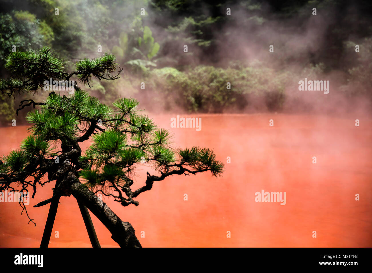 Chinoike Jigoku in Beppu, Japan, “Blood pond hell”, Chinoike Jigoku is ...