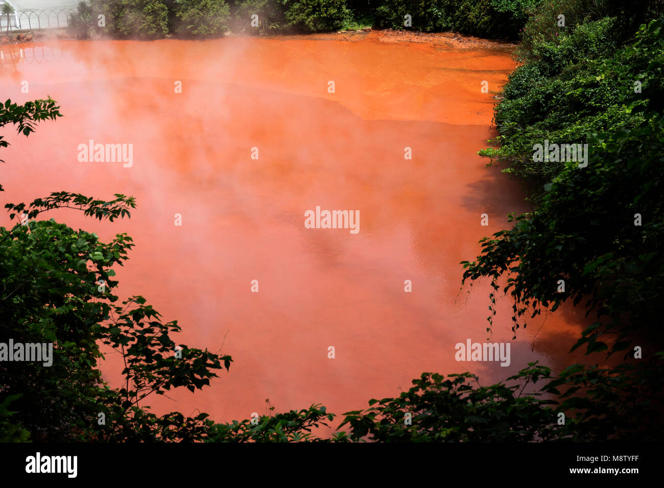 Chinoike Jigoku in Beppu, Japan, “Blood pond hell”, Chinoike Jigoku is ...
