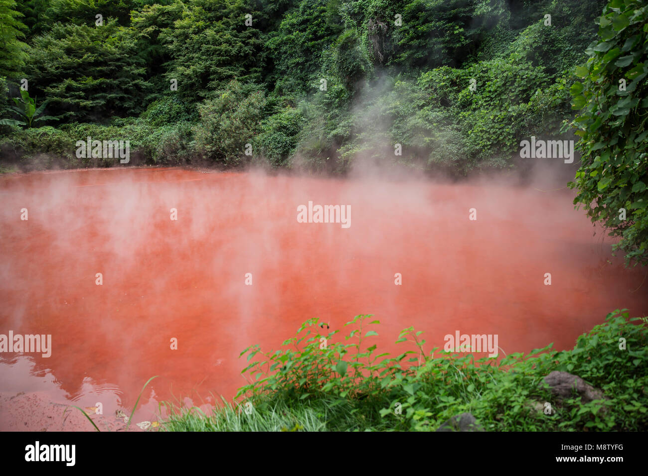 Chinoike Jigoku in Beppu, Japan, “Blood pond hell”, Chinoike Jigoku is ...