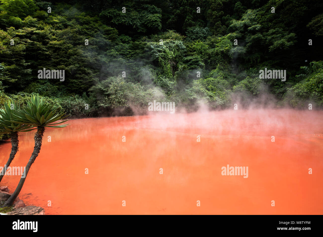 Chinoike Jigoku in Beppu, Japan, “Blood pond hell”, Chinoike Jigoku is ...