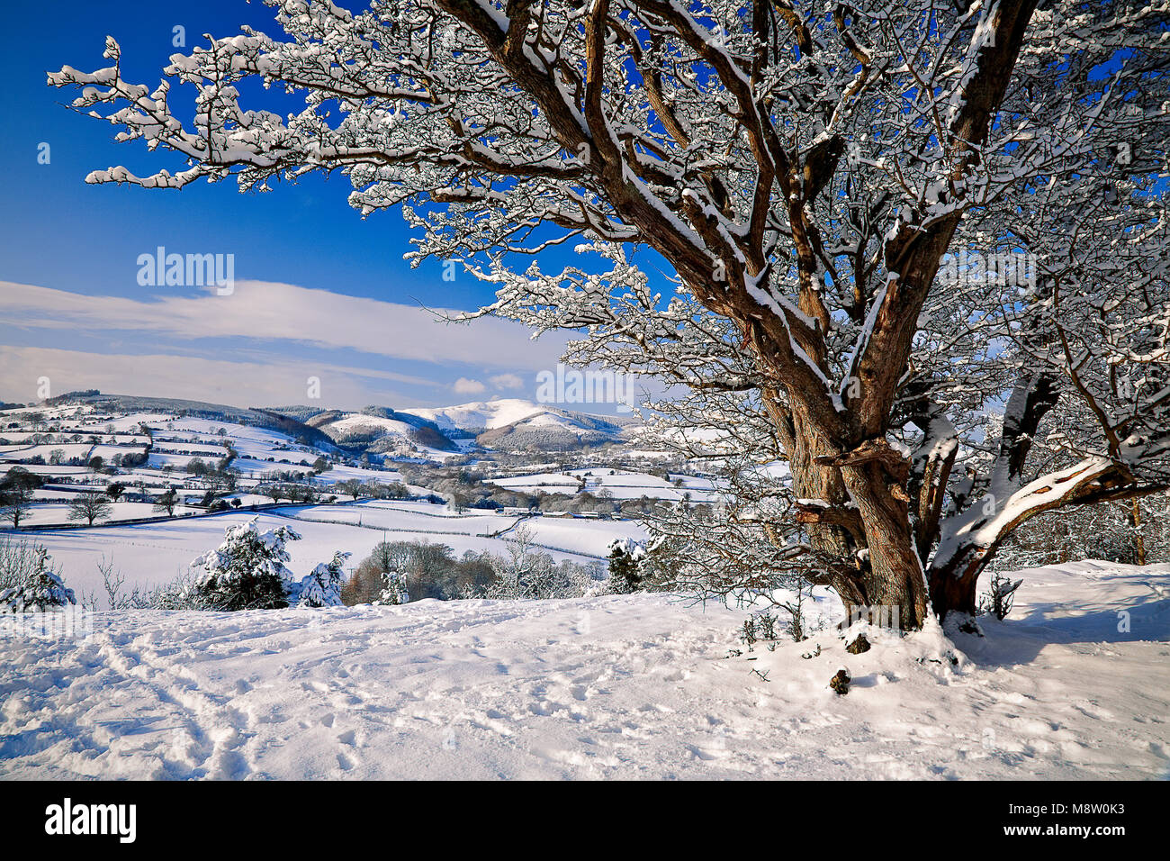 Snow covered landscape at Loggerheads Country Park, North Wales Stock ...