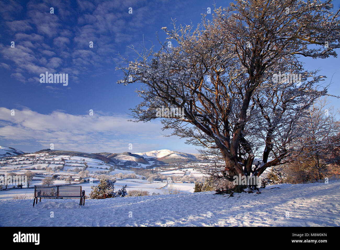 Snow covered landscape at Loggerheads Country Park, North Wales Stock ...