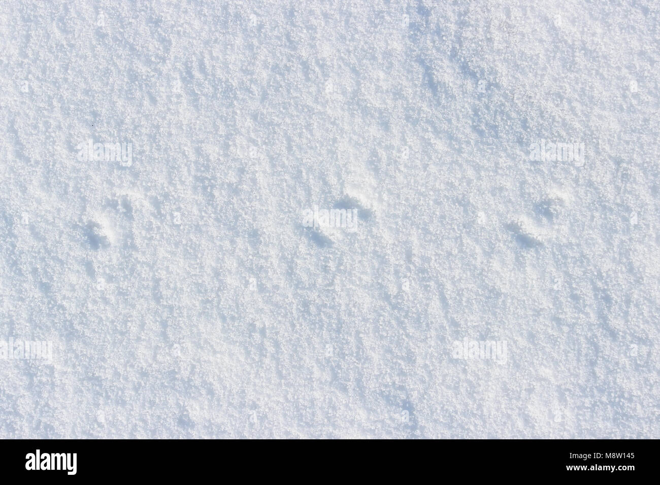 Mouse footprints hi-res stock photography and images - Alamy