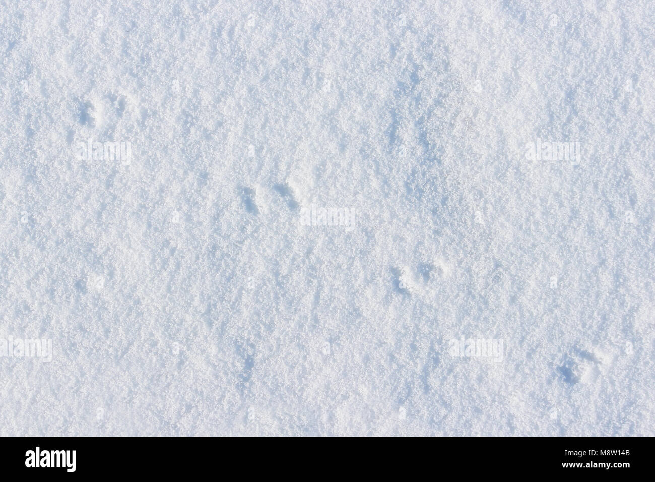 Mouse footprints hi-res stock photography and images - Alamy