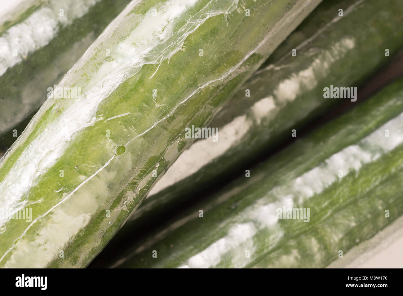Bunch of cucumber wrapped in plastic films, close up and background ...