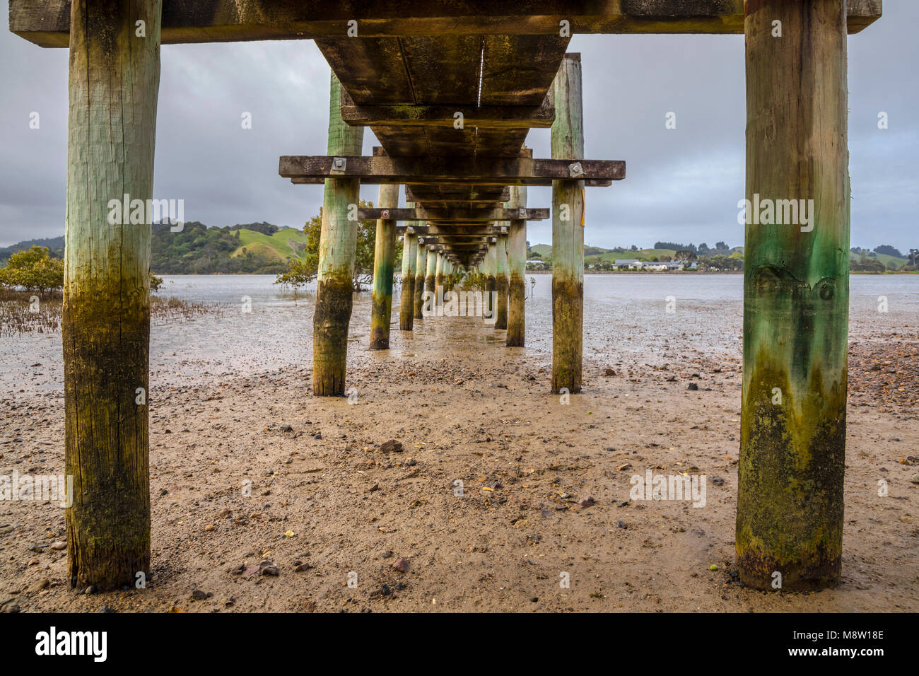 Longest wooden Footbridge in the Southern Hemisphere, Whananaki, New ...