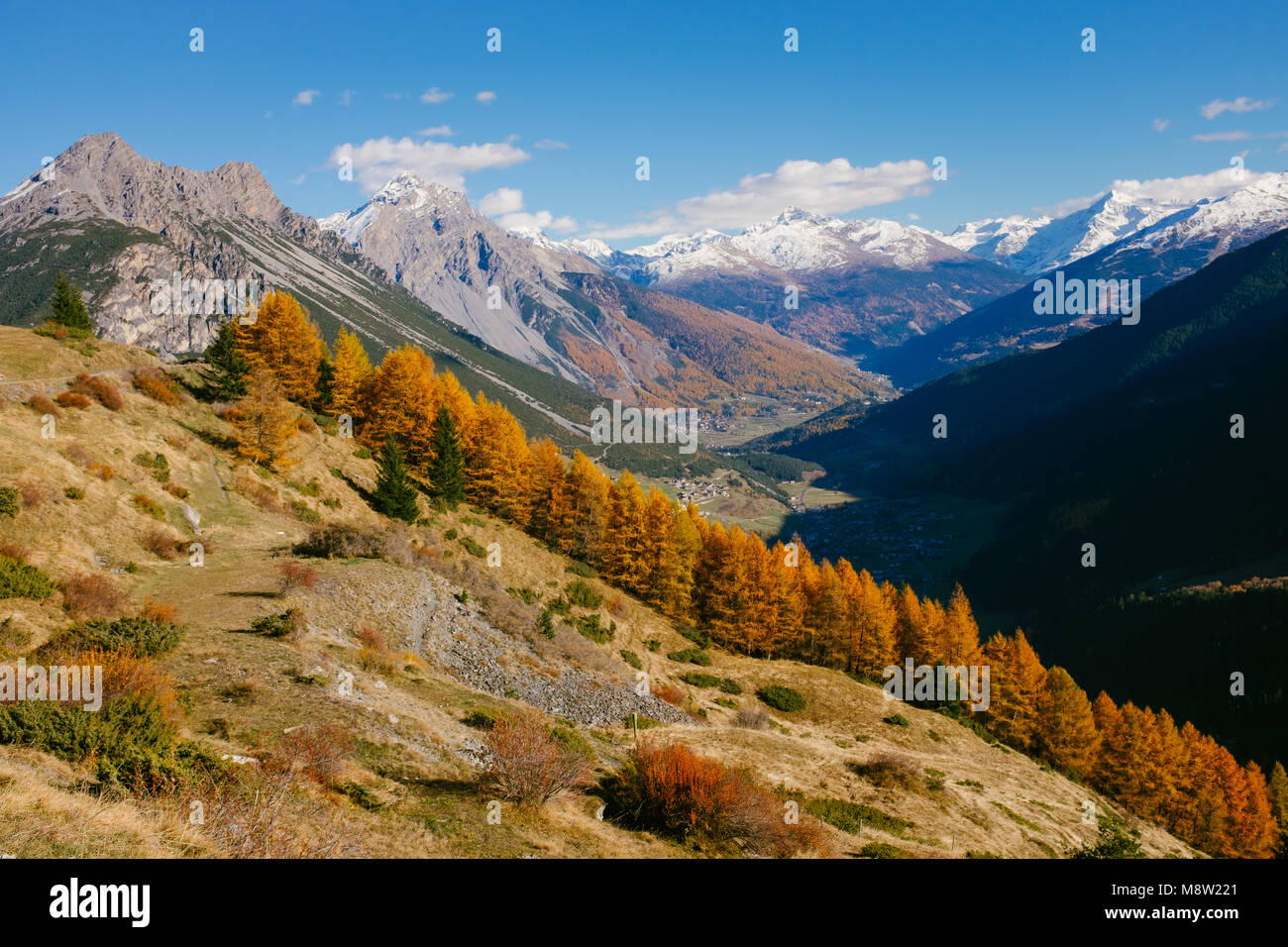Beautiful larch colored with autumn colors in the mountains ...
