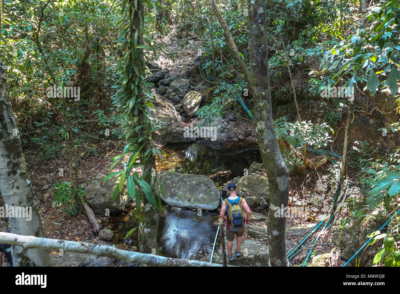 Water pools in the jungle of Koh Chang, Thailand Stock Photo - Alamy